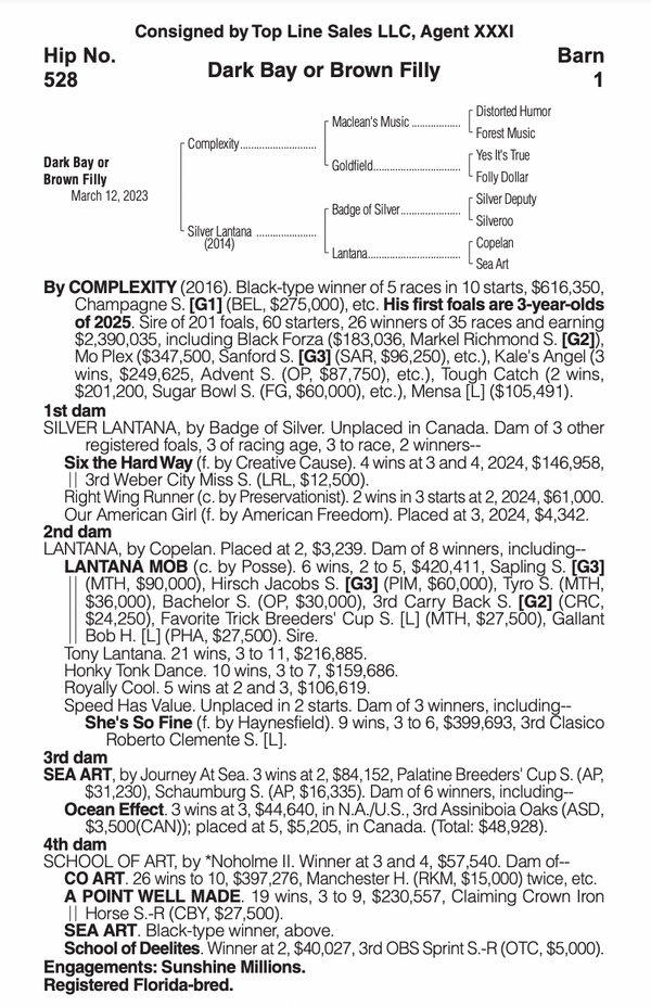 Intricity - Adelphi Racing Club